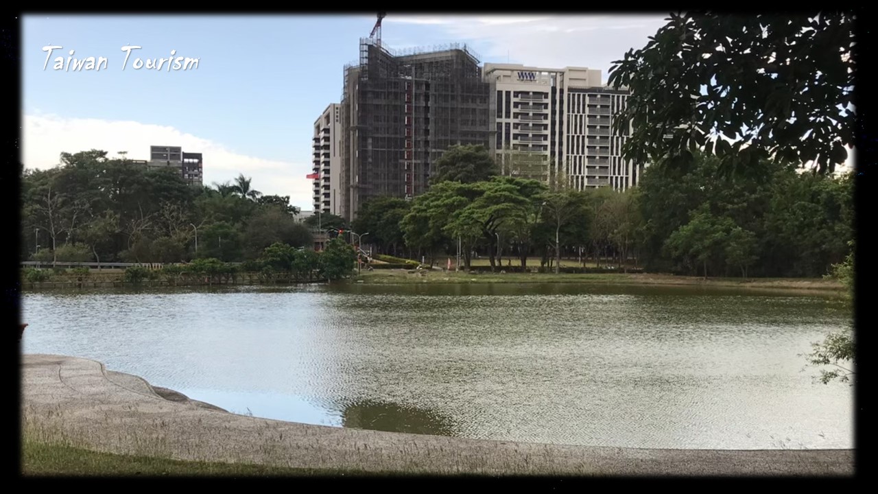 Black-winged Stilt Pool