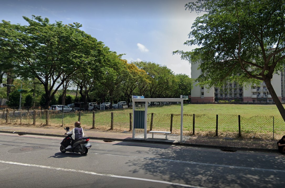 Black-winged Stilt Pool